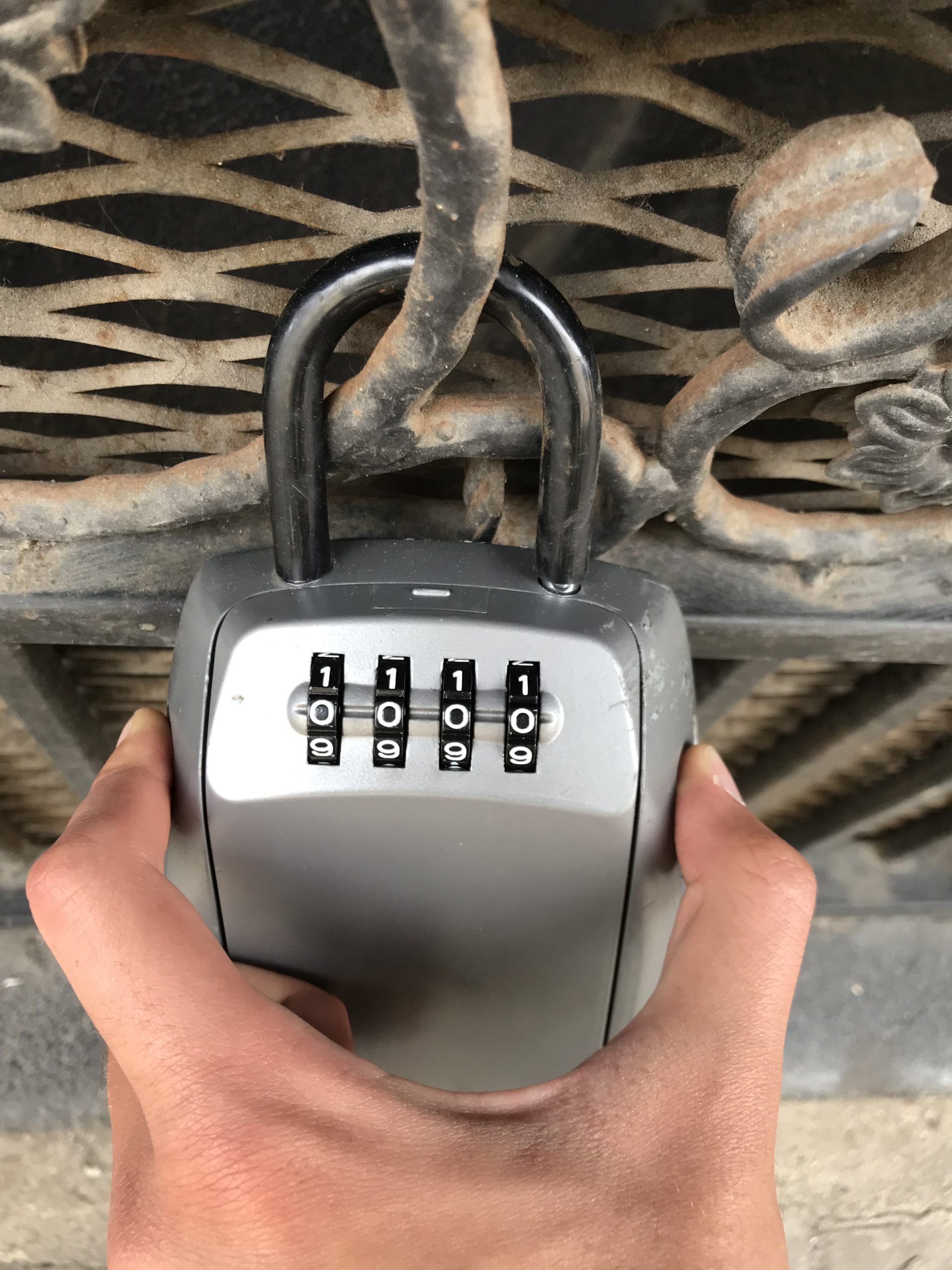 Teodor Rakovski - My Guide